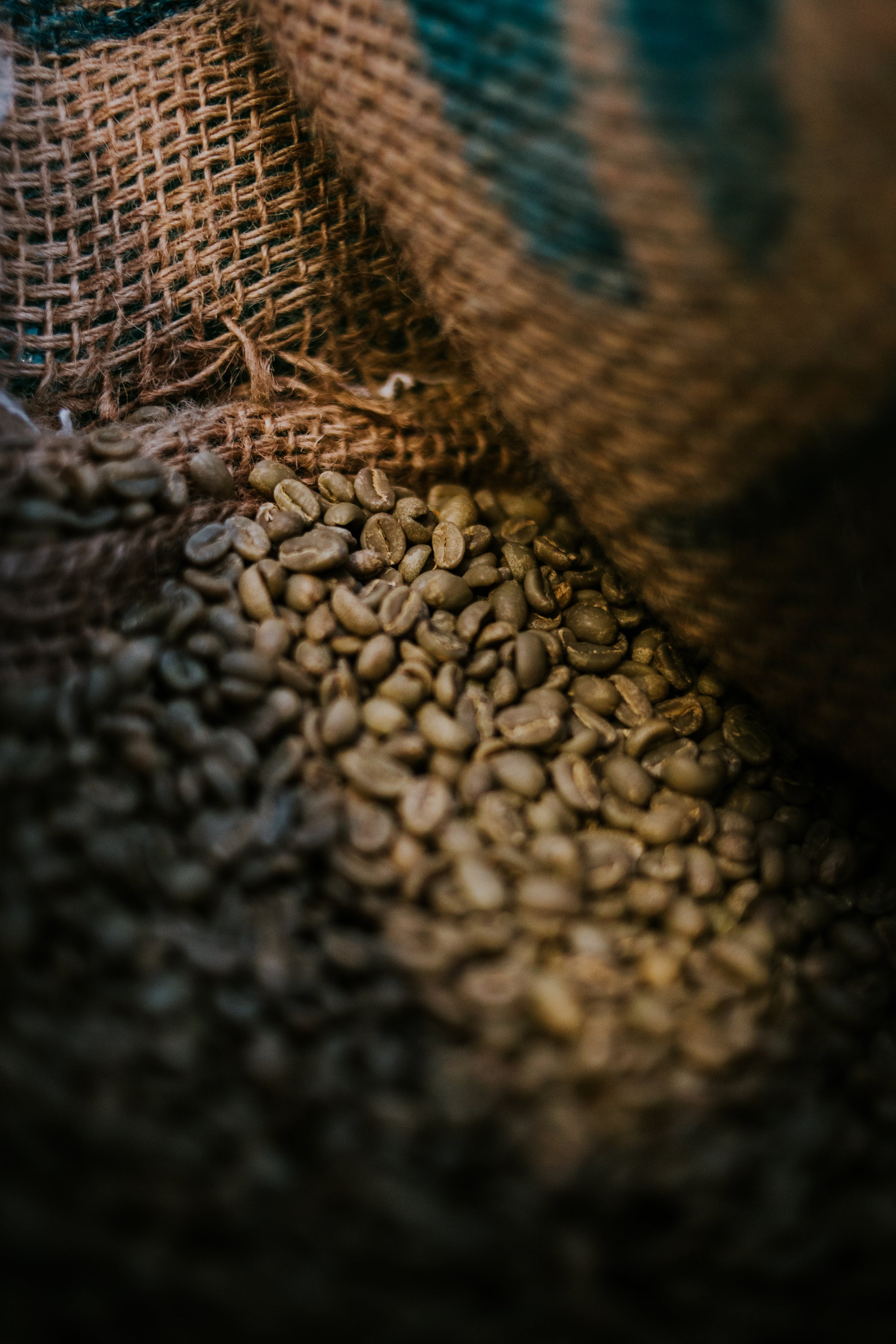 The Lab Coffee Roasters